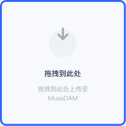 MuseDAM - 智能数字资产管理平台 | 采集、整理、协作、AI生成